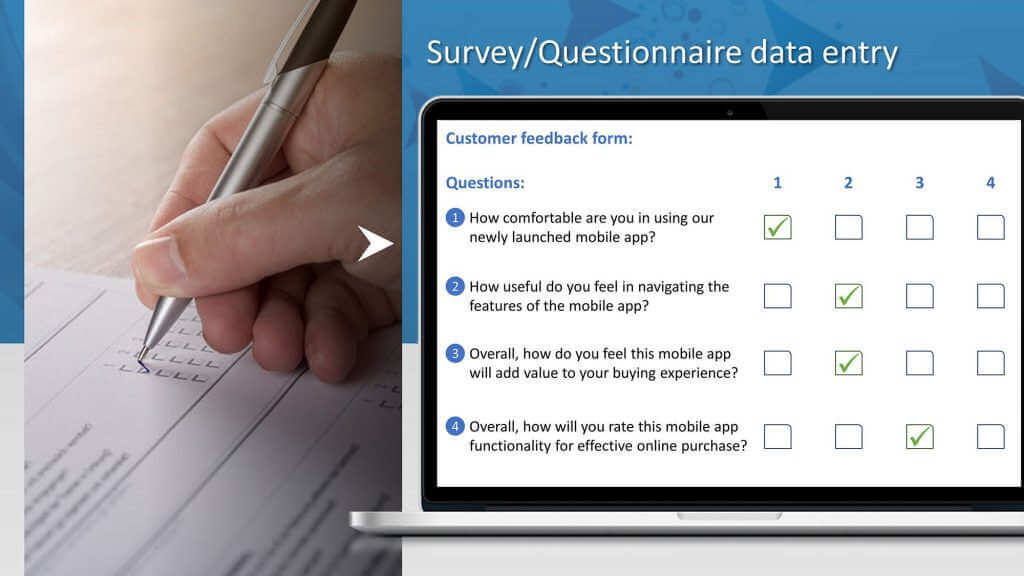 Data Entry and Data Mining (Visual Sculptors) (3)